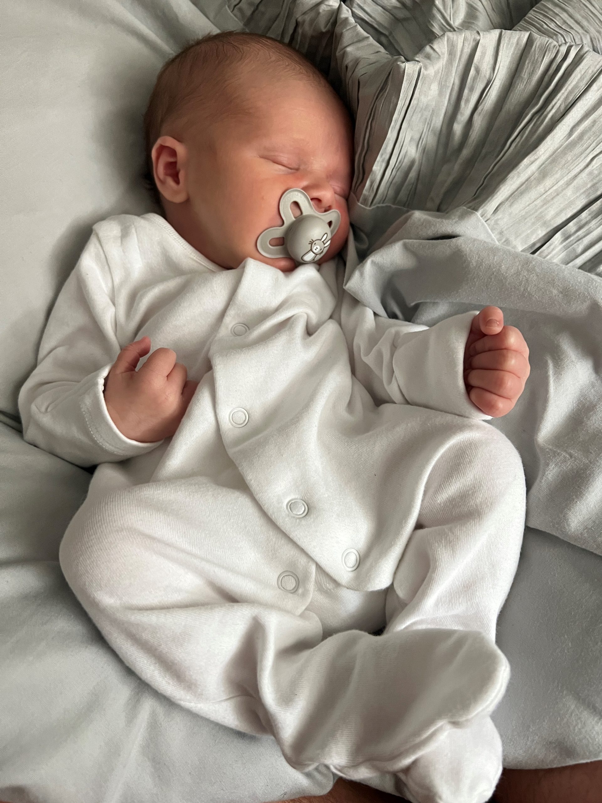 Beautiful Bouncing Baby Boy - Veitchi Group